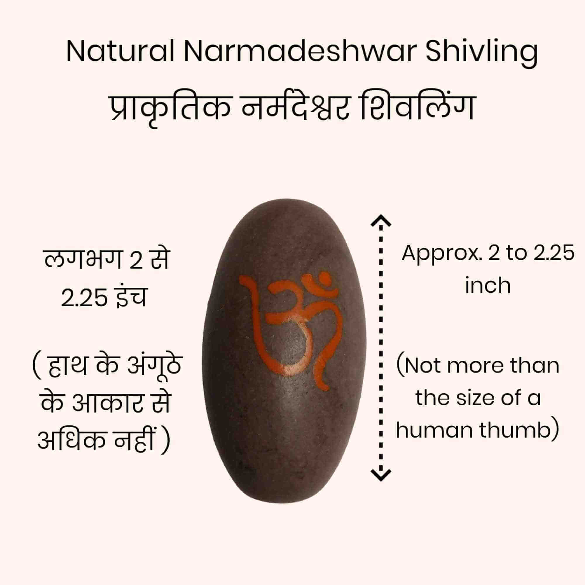 Narmadeshwar Shivling with Jaladhari & Pooja Samagri – The Sundook